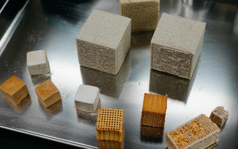 Fungi Building Blocks – Into Tomorrow with Dave Graveline